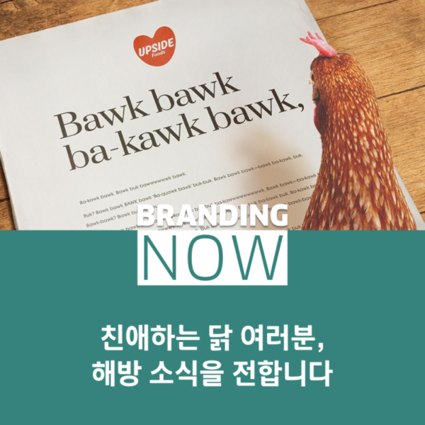 친애하는 닭 여러분, 해방 소식을 전합니다 #UPSIDE Foods - 스톤브랜드컨설팅