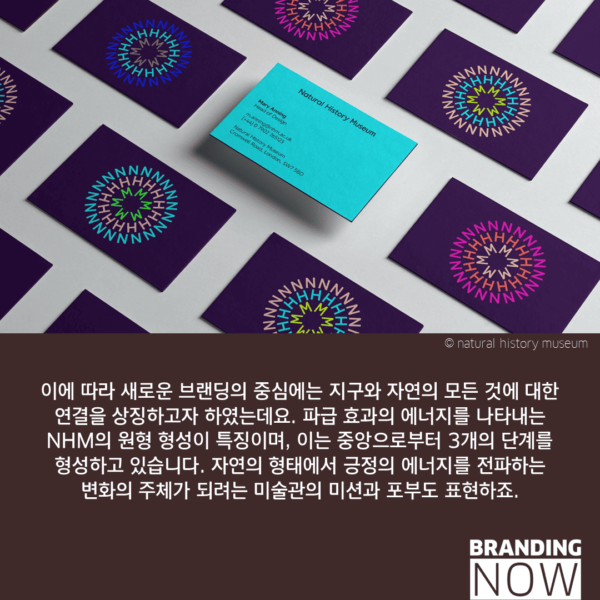 런던 자연사 박물관의 새로운 파급 효과 #NHM - 스톤브랜드컨설팅